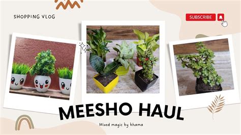 Meesho Home Decor Haul Artificial Plants Live Plants Shopping