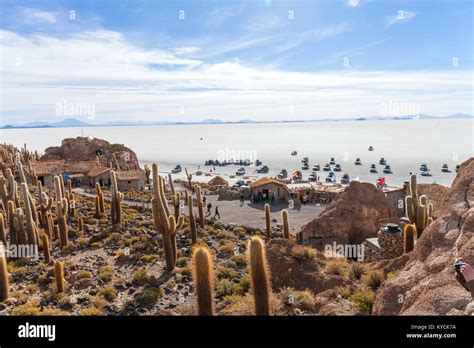 Crowd Of Tourists At The Foot Of The Island Of Cactus Cactus Island