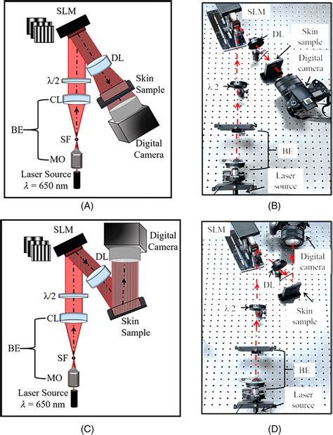 the proposed spatial frequency domain imaging systems a schematic download scientific