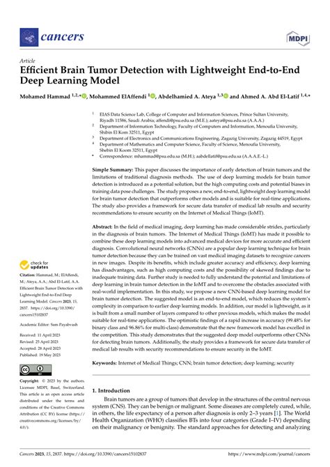 pdf efficient brain tumor detection with lightweight end to end deep learning model