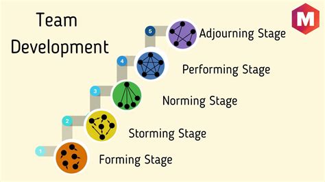 Team Development Stages And Importance Marketing