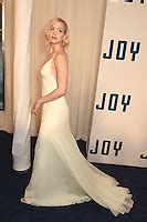 JOY Movie Premiere Robin Platzer Twin Images