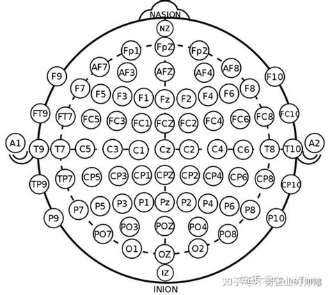 脑部分区 功能 脑电电极位置（网络图片 方便查看） 知乎