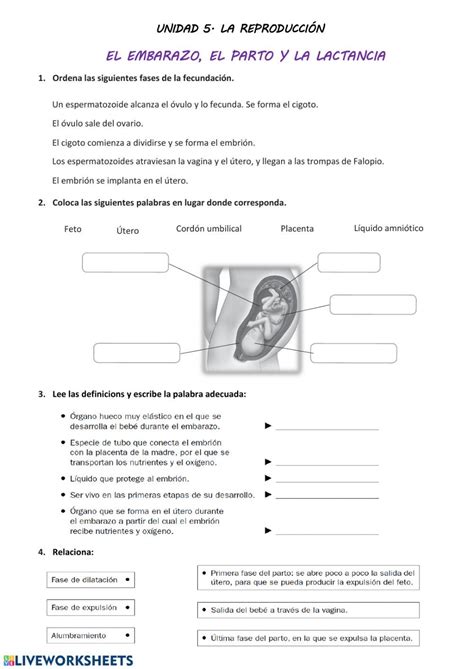 Ficha online de La reproducción para 6º Primaria Puedes hacer los
