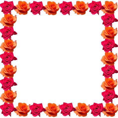 Flores De Molduras Para Fotos PNG Flores Foto Porta Retratos Imagem