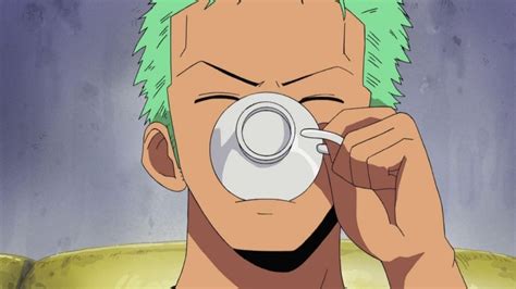 One Piece Zoro Eats Devil Fruit Margaret Wiegel