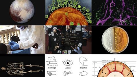 Los diez descubrimientos más importantes del año según Science