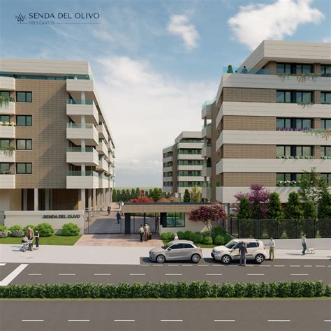 Senda Del Olivo Nueva Promoci N En Tres Cantos Pinilla