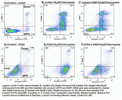 Annexin V And Autophagy Flow Cytometry Core Facility