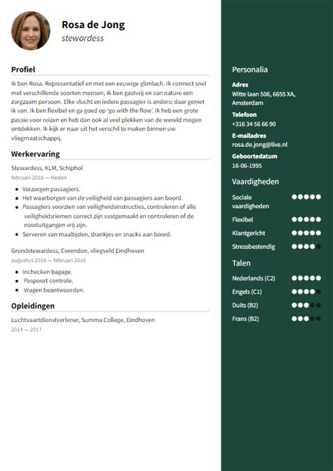 Stewardess Cv Voorbeeld En Schrijftips