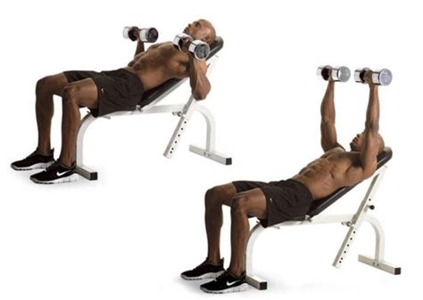 Rutina De PECTORALES Desarrolla MASA MUSCULAR Magra Adictos Al Gym