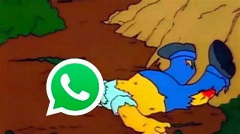 Los Mejores Memes Por La Ca Da De Whatsapp Diario Panorama