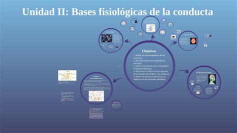 Unidad II Bases fisiológicas de la conducta by Prof Fuentes on Prezi