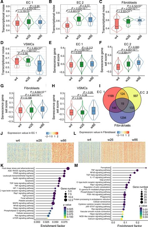 Single Cell Rna Sequencing And Assay For Transposase Accessible