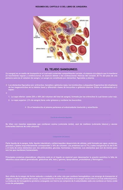 El Tejido Sanguíneo Medical vitality uDocz
