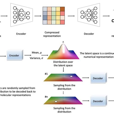 the illustrated architecture of an adversarial autoencoder a download scientific diagram