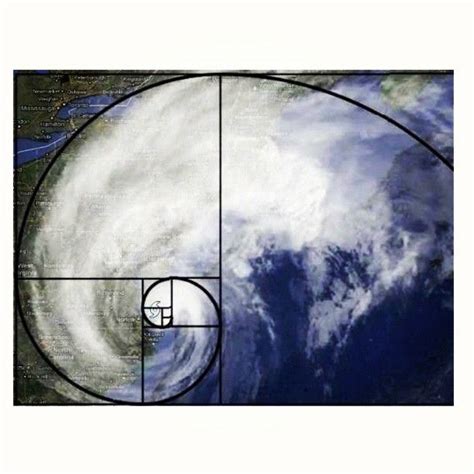 fibonacci hurricane sandy fibonacci in nature fibonacci sequence in nature fibonacci spiral