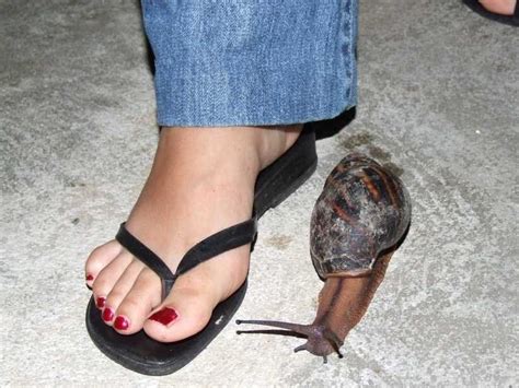 Bug Crush Feet Telegraph