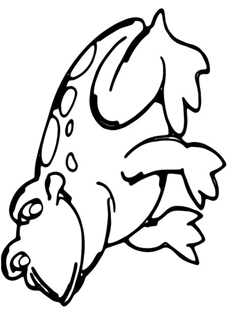 Rana Da Colorare 15 Disegni Da Colorare