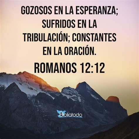 Aborto Fresa Margaret Mitchell Romanos 12 Biblia Catolica Calentar A