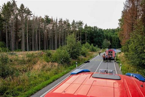 Auto überschlägt sich mehrfach und landet auf dem Dach im Wald Drei