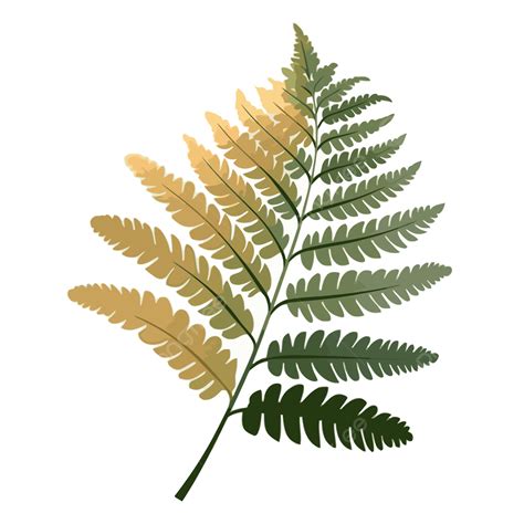 Hoja De Helecho Png Dibujos Pegatina Clipart Helecho Dorado Dibujos