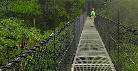La Fortuna Místico Arenal Hanging Bridges Admission Ticket Mistico