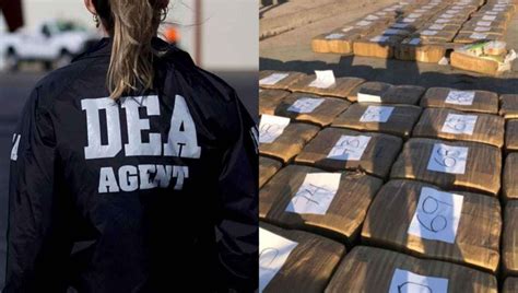 Danielle Dreyer Es La Agente De La Dea Que Se Infiltro En El Cartel De