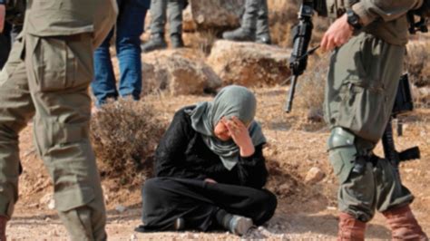 Nuovi Scontri In Palestina L Osservatore Romano