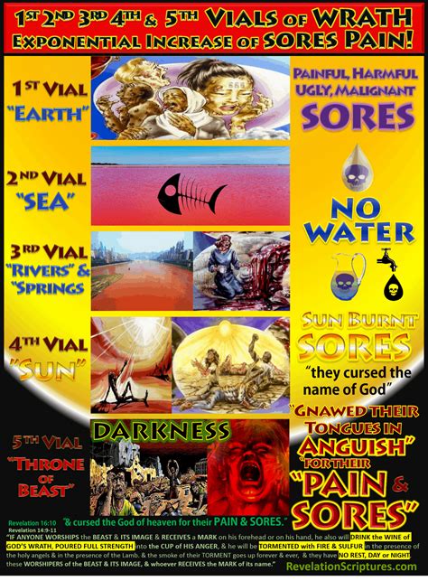 7 Bowls Of Wrath Scriptural Interpretation Picture Galleries