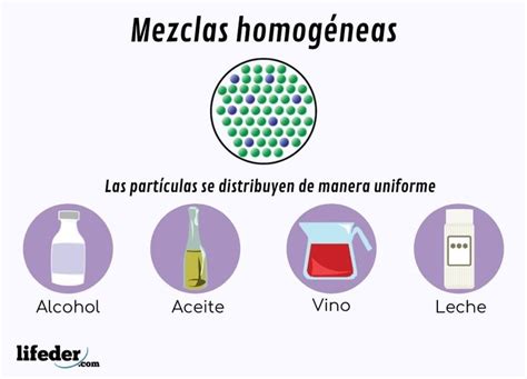 Resultado De Im Genes De Google Para Https Lifeder Wp Content