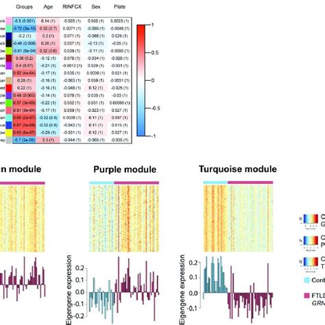 cell type deconvolution analysis of ftld tdp a with and without grn download scientific diagram
