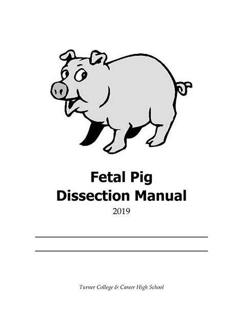 Fetal Pig Dissection New Fetal Pig Dissection Manual Turner