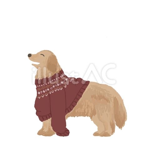 飼い主のセーターを着た犬イラスト No 22366604無料イラストフリー素材ならイラストAC