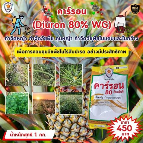 การควบคมวชพชดวยคารรอน Diuron 80 WG ในไรสบปะรด ยารกษาโรคพช
