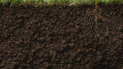 Most Fertile Place On Earth The Earth Images Revimage Org
