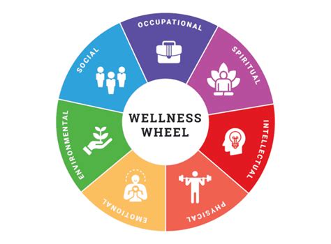 Masfikur Rahman Best Wellness Product