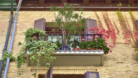 Descubriendo el pueblo más bonito de Pamplona TravelHolics