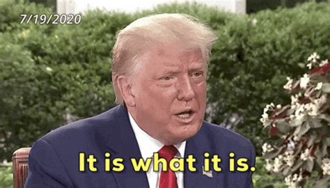 It Is What It Is GIFs Get The Best On GIPHY