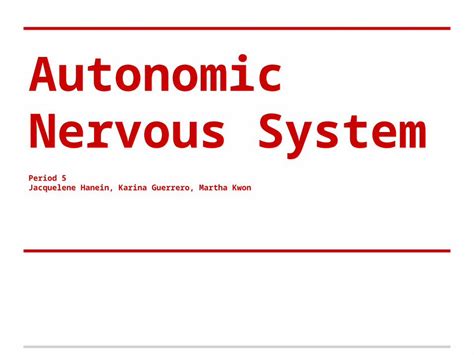 PPT Autonomic Nervous System Period 5 Jacquelene Hanein Karina