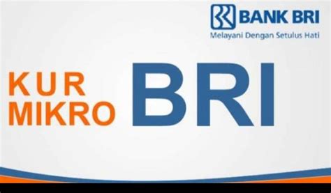 Syarat Dan Cara Ajukan KUR Super Mikro BRI Plafon Rp10 Juta Dan Tanpa