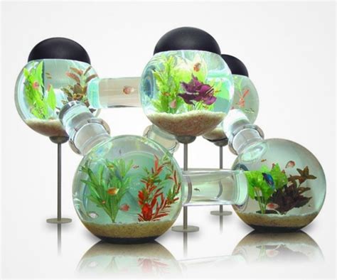 Aussergewoehnliches Design Fuer Aquarien KunsTop De