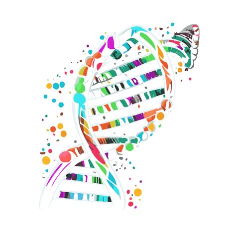 Cadena De Adn Vector PNG Dibujos Adhesivo Clipart Adn Colorido Con