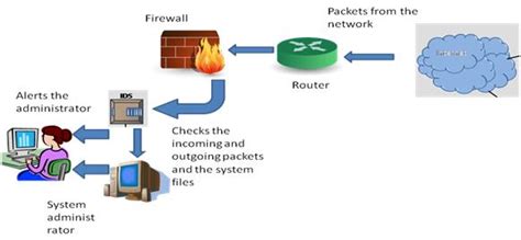 basics of intrusion detection system classifactions and advantages