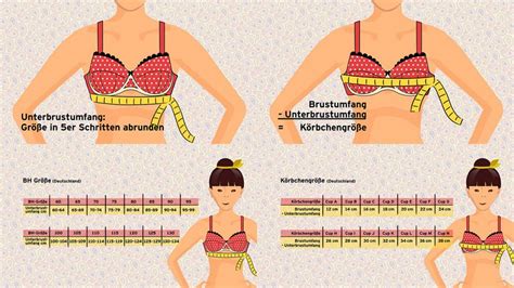 Anleitung auf einen Blick BH Größe und Körbchengröße richtig