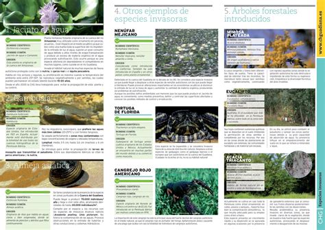 Especies Invasora