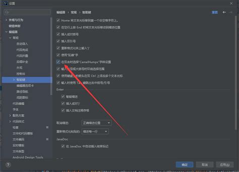 intellij idea2021 3 怎么开启双击选择时允许单词设置 双击选中一个变量而不是单词 idea xml怎么开启双击选择时允许单词设置 csdn博客
