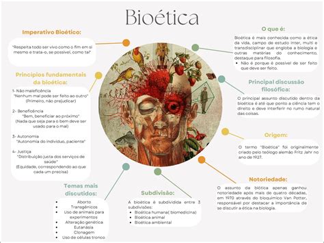 Mapas Mentais Sobre BIOETICA Study Maps