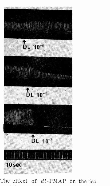Figure From I Peripheral Action Semantic Scholar
