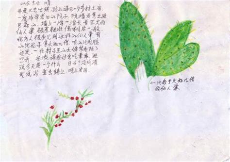 仙人掌植物观察笔记手抄报 读书笔记手抄报 普车都